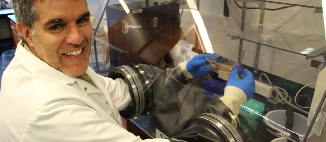 Prof Gets Terry Fox Grant to Help Dogs, Humans with Bone Cancer - U of ...