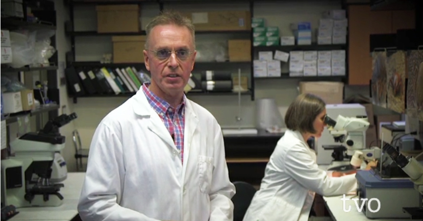OVC Prof Talks Ticks on TVO - U of G News