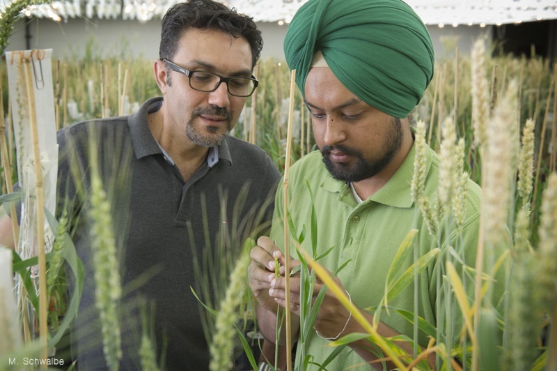 U of G Ranked Among World’s Top Agri-Food Universities - U of G News