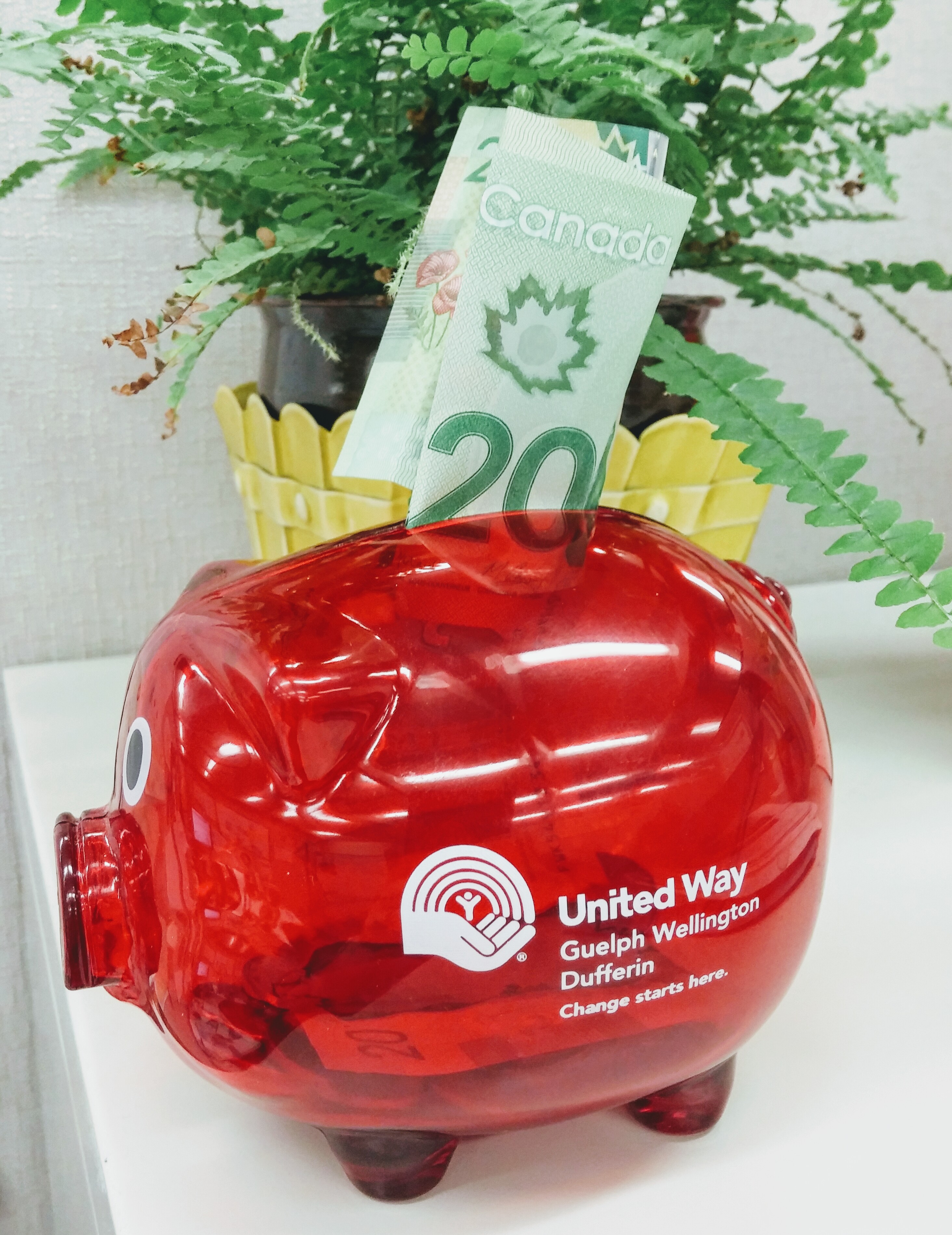 Your United Way Donations in Action: Campaign Home Stretch! - U of G News