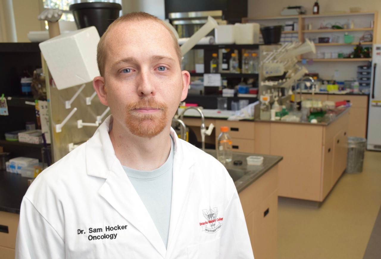 U of G Researcher Investigating Cannabis as Treatment for Animal Cancer ...