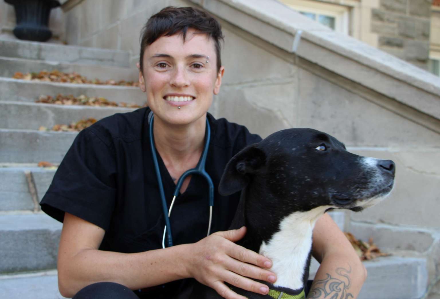 More Pets Being Fed Homemade, Raw Diets, U of G Research Reveals - U of ...