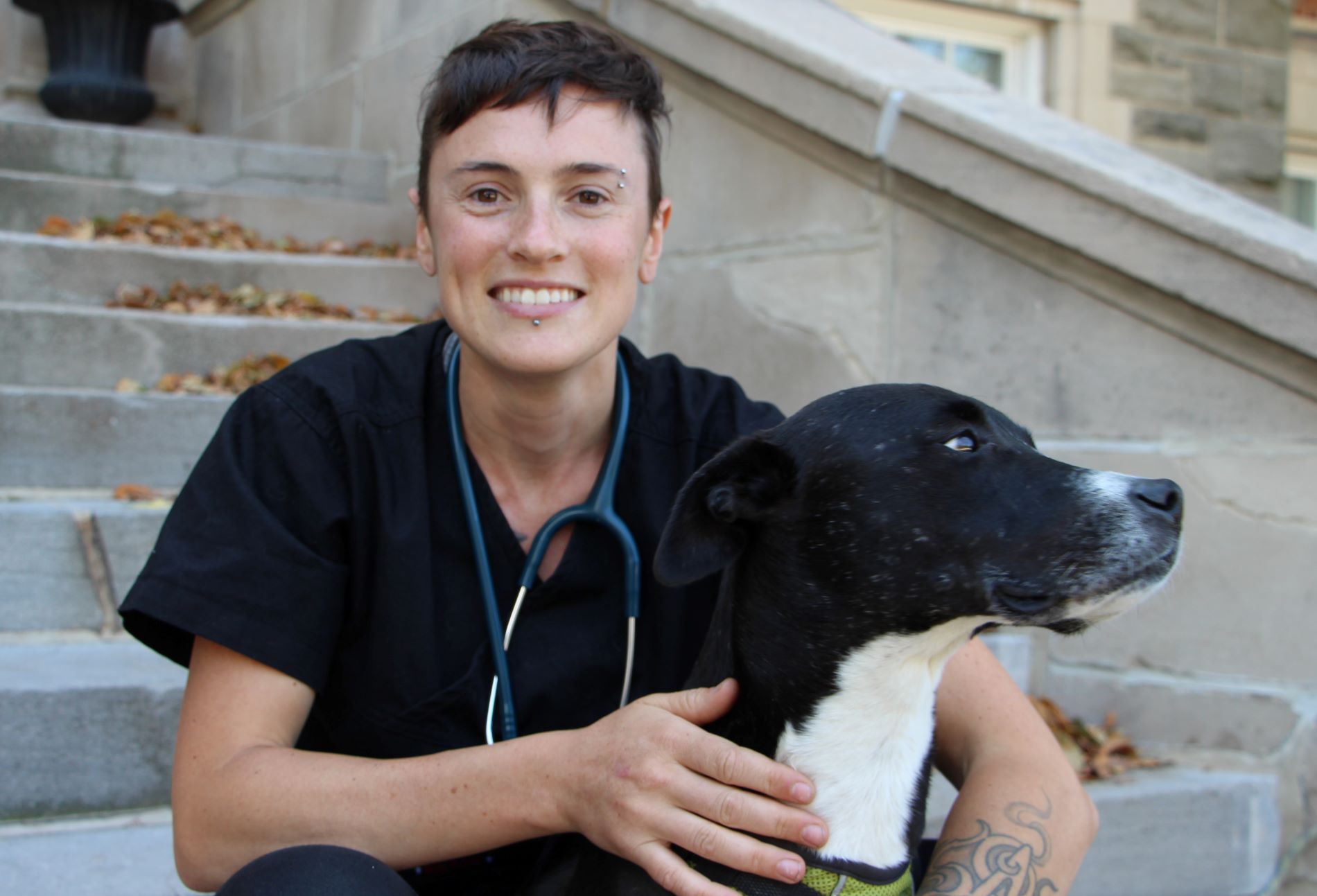 More Pets Being Fed Homemade, Raw Diets, U of G Research Reveals - U of ...