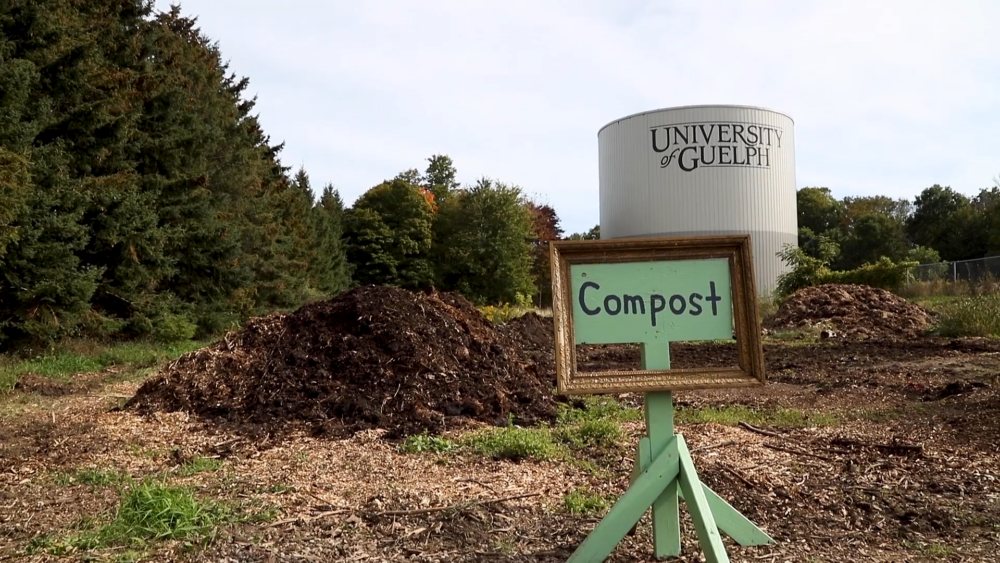 U of G Earns Gold Rating for Sustainability - U of G News
