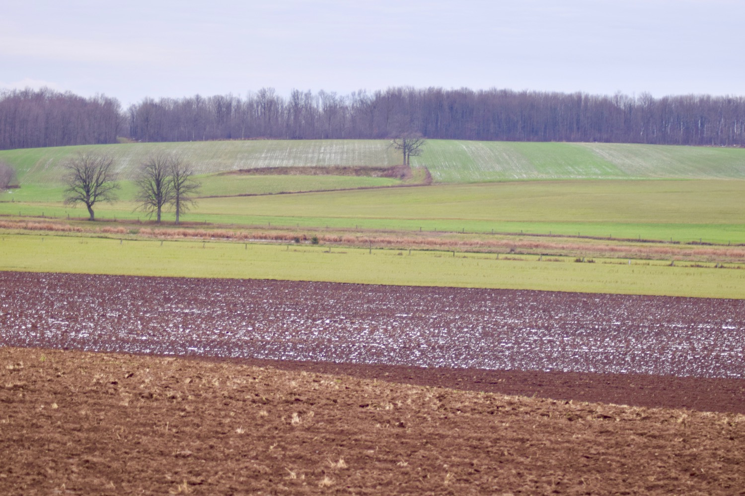World Soil Day: U of G and OMAFRA Host Online Soil Forum - U of G News