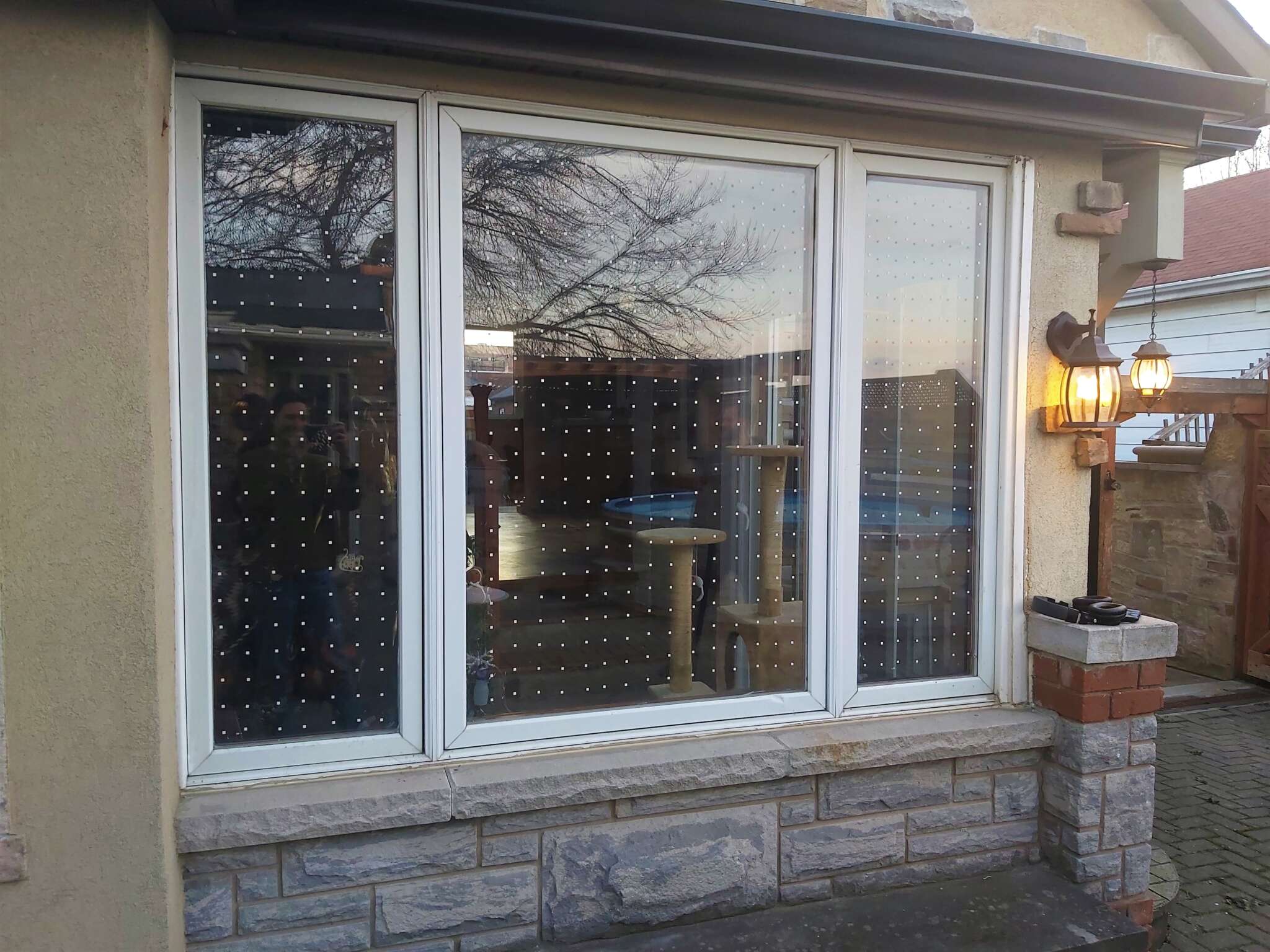 University of Guelph Project to Help Birds Avoid Deadly Window ...