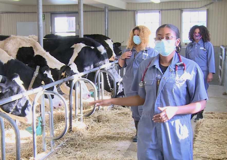 Black Veterinary Students at U of G Launch National Organization to ...
