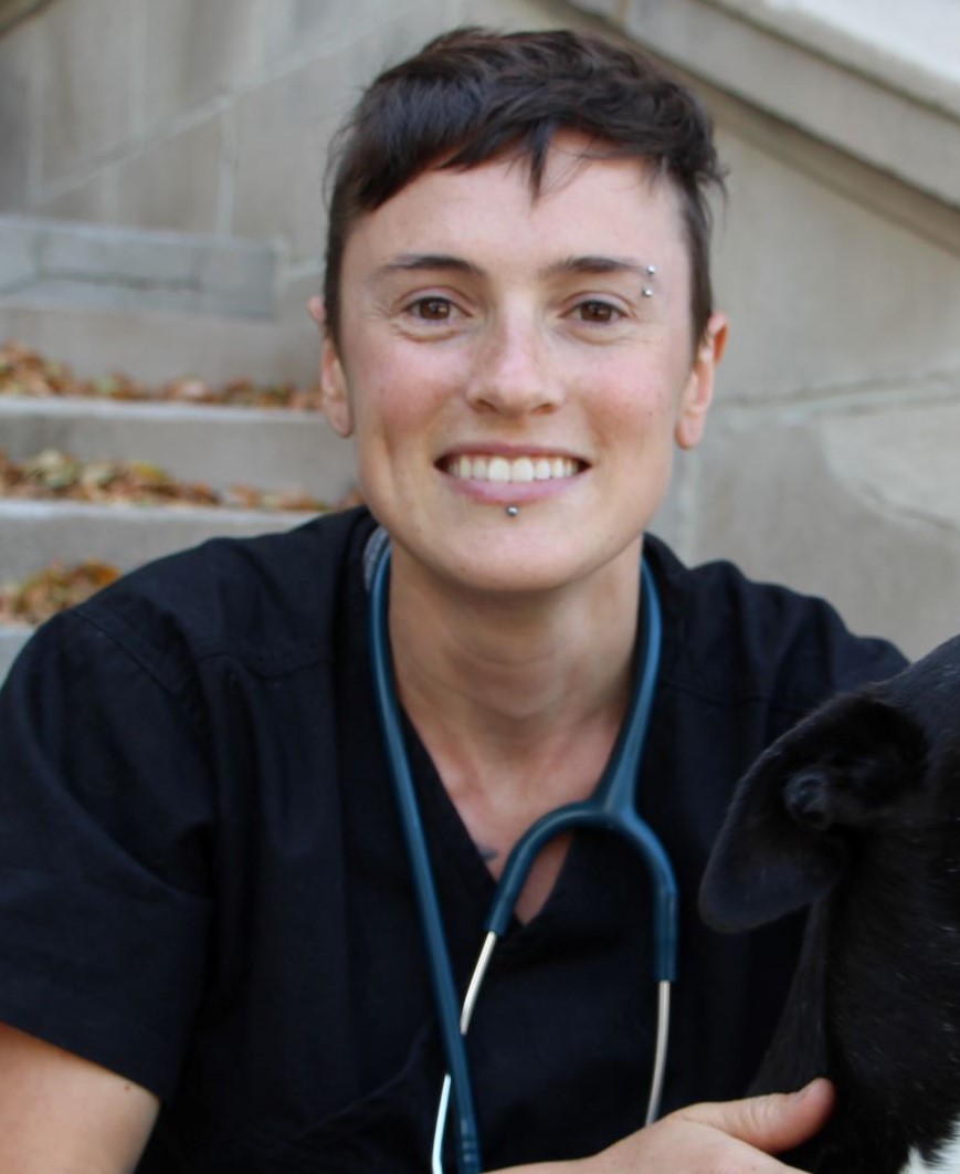 U of G Researchers First to Study Health Effects of Vegan Diets on Cats ...