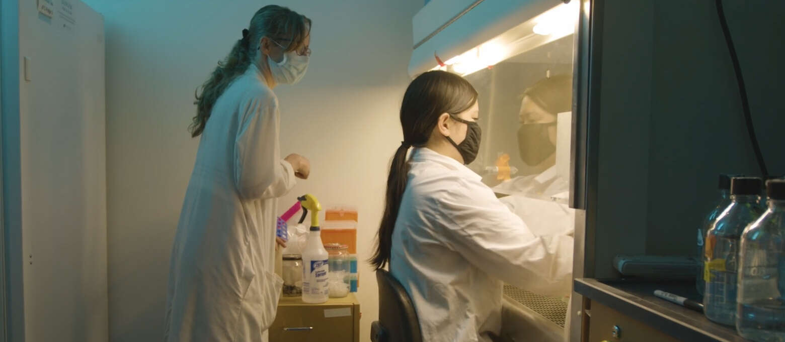 Two U of G Research Projects Awarded Federal Health Funding - U of G News
