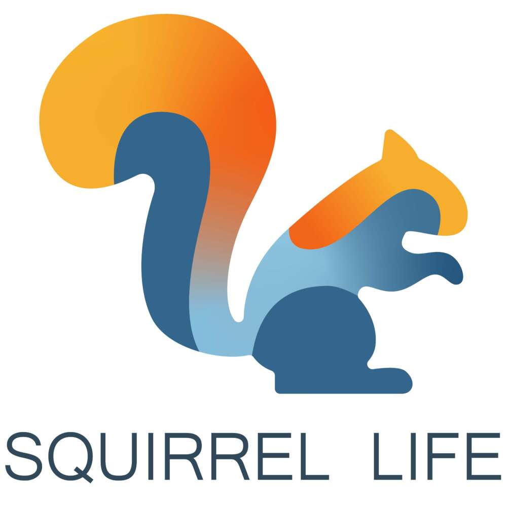 U of G-Made Squirrel Life App Offers Users ‘Gateway’ to Nature - U of G ...