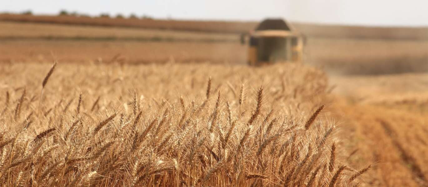 $ 2M Gift to Support Field Crops Research, Teaching at U of G’s ...