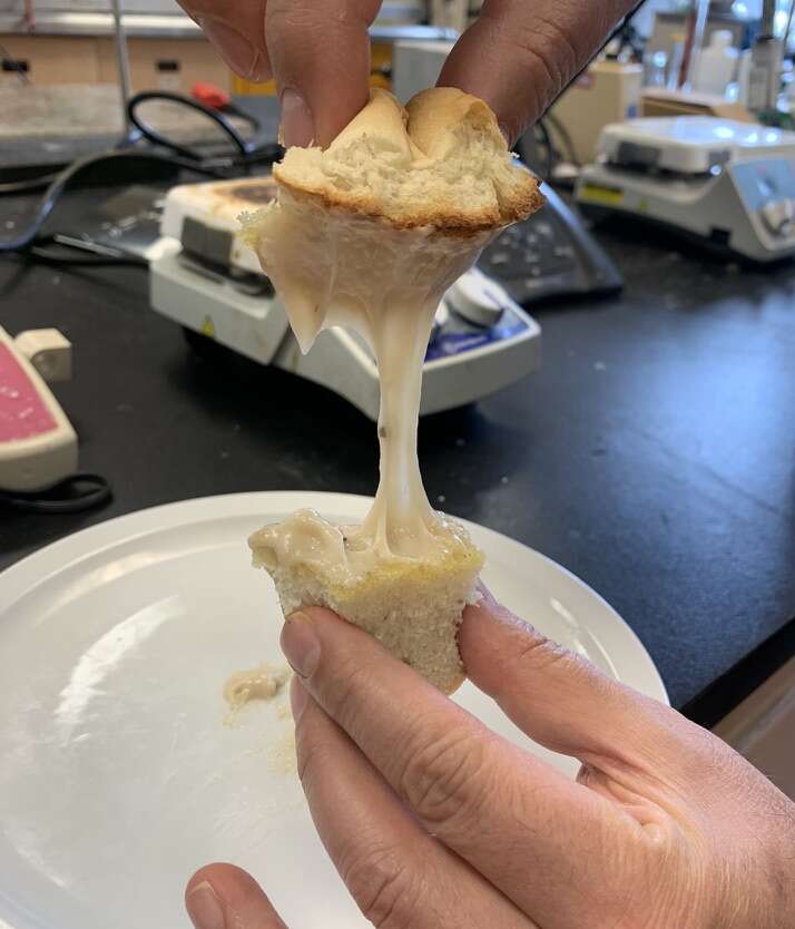 Food Scientists Developing Plant-Based Cheeses that Melt, Stretch ...