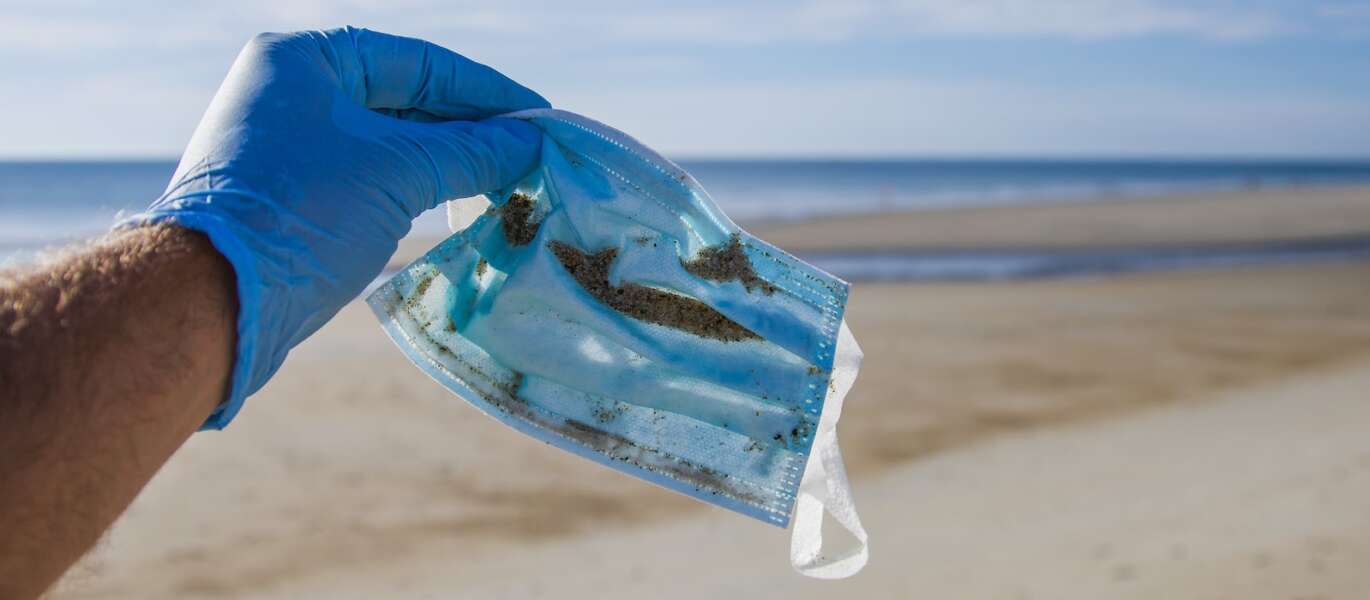 PPE Used Throughout the Pandemic Is Getting Tangled Up in Wildlife - U ...
