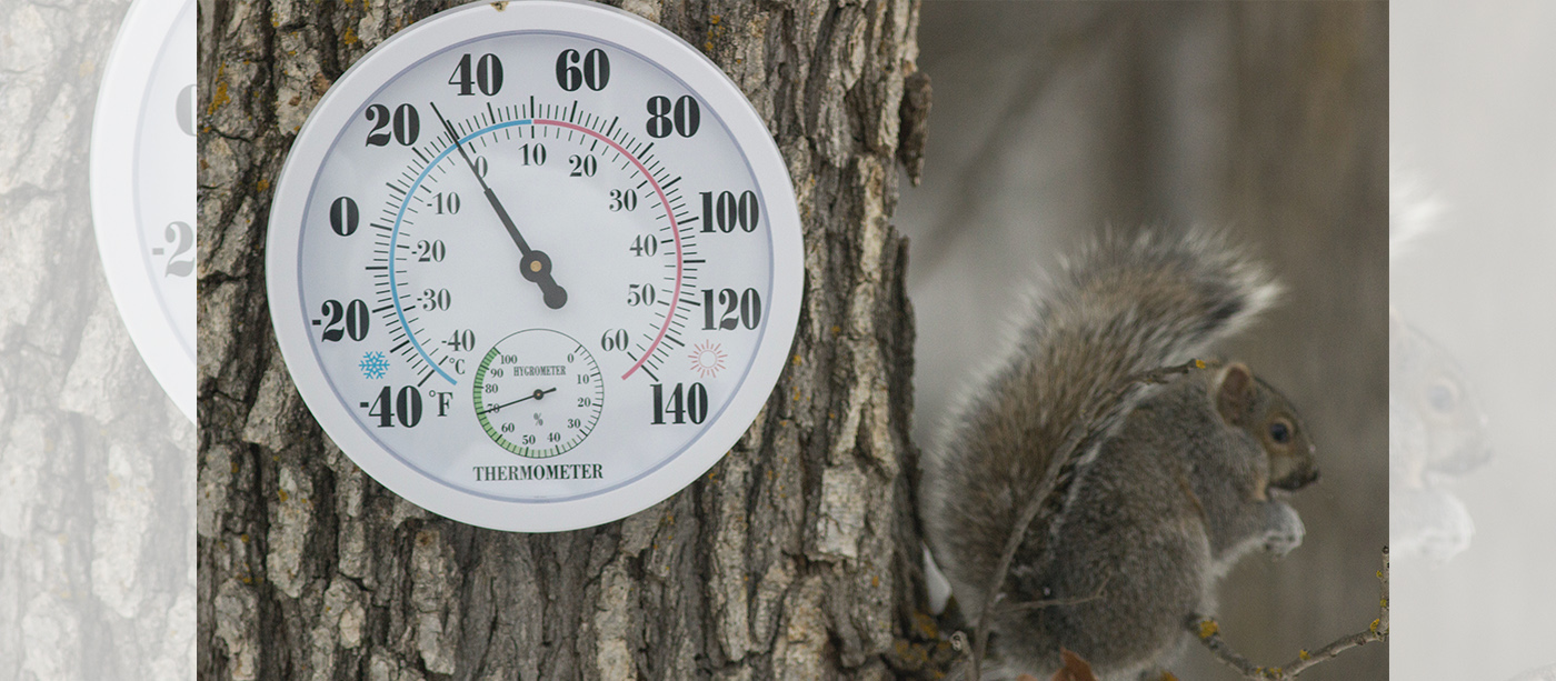 U of G-Developed Climate Model to Help Adapt to Cold, Heat Extremes - U ...