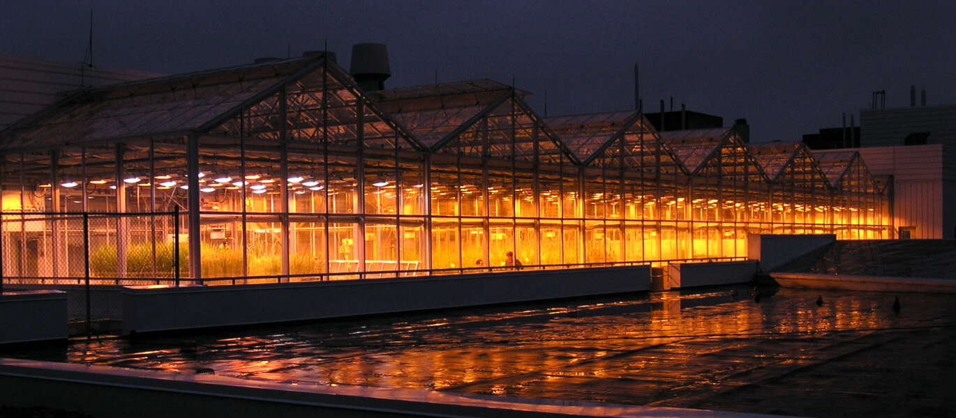 U of G Research Makes Growing Greenhouse Industry More Efficient - U of ...