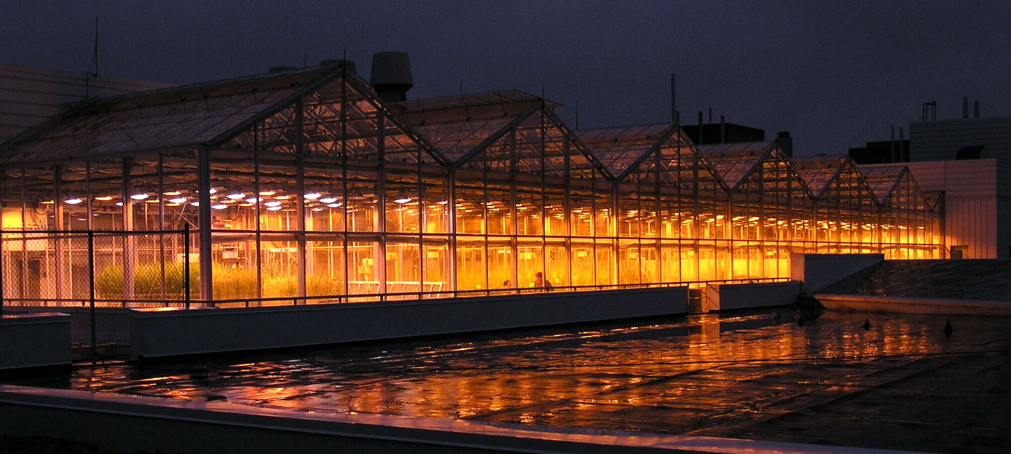 U of G Research Makes Growing Greenhouse Industry More Efficient - U of ...