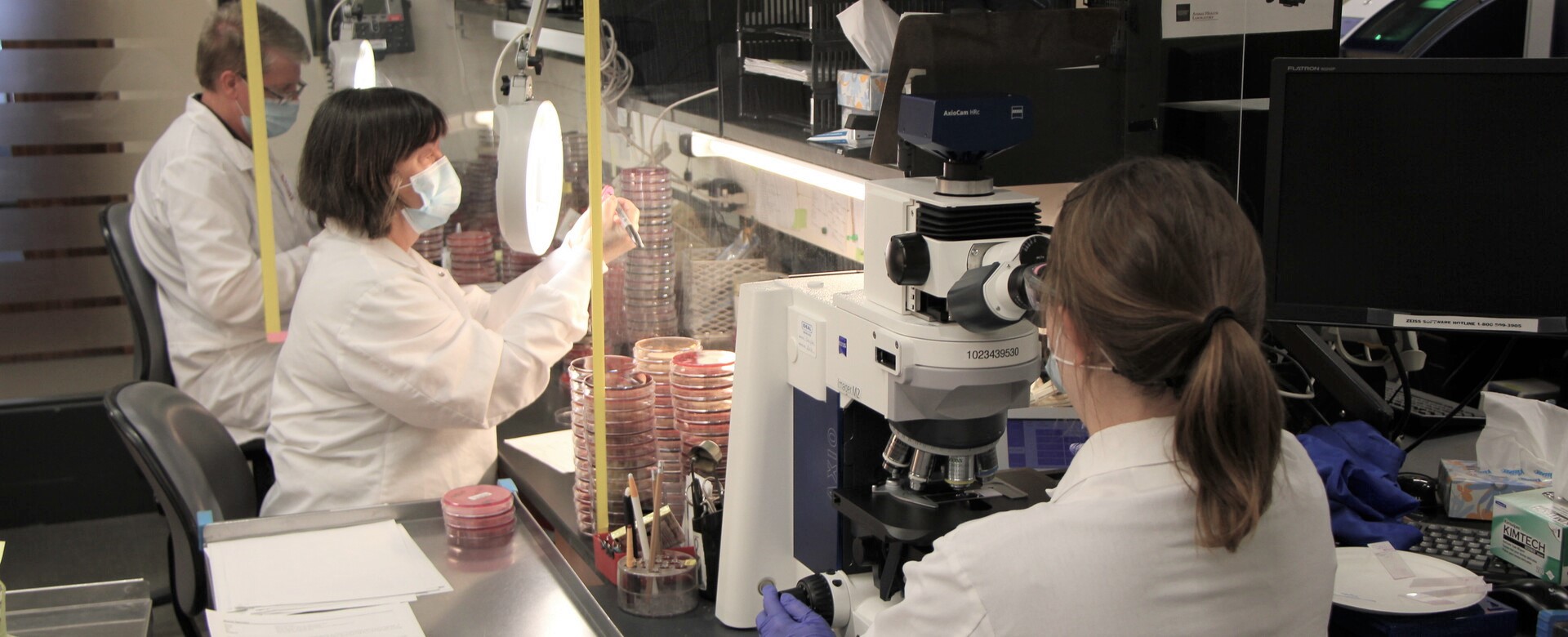 U of G 2nd in National Research Rankings, Earns Spotlight for Granting ...