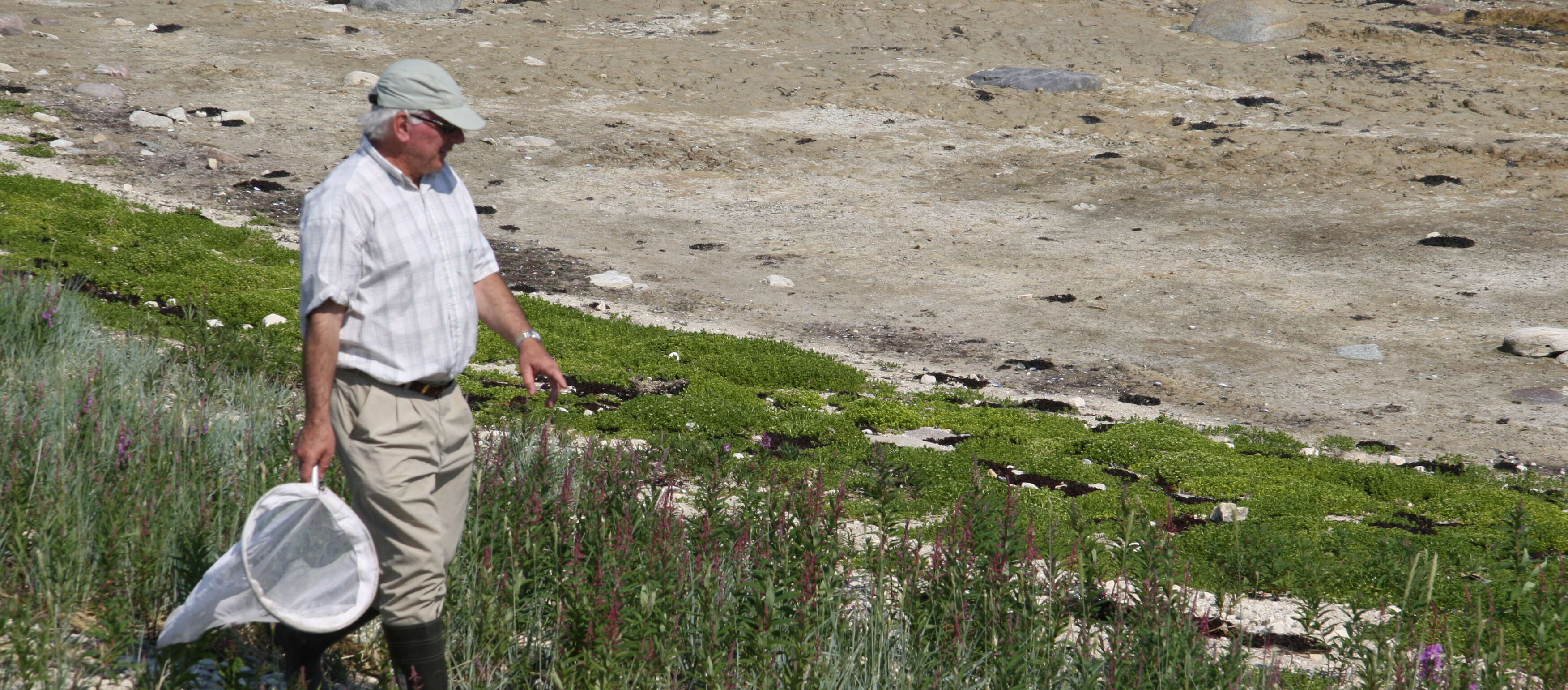 20 Years of DNA Barcoding: U of G-Developed Technology Hits Milestone ...