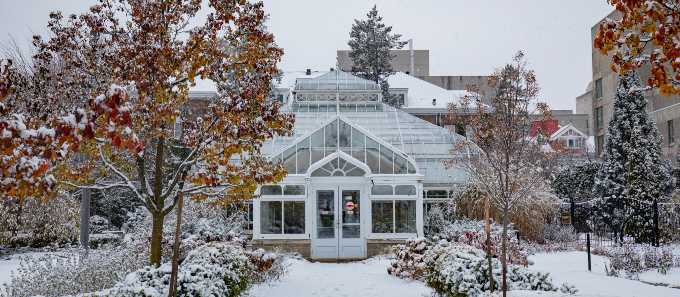 U of G Alumna Wins Distinguished Dissertation Award - U of G News