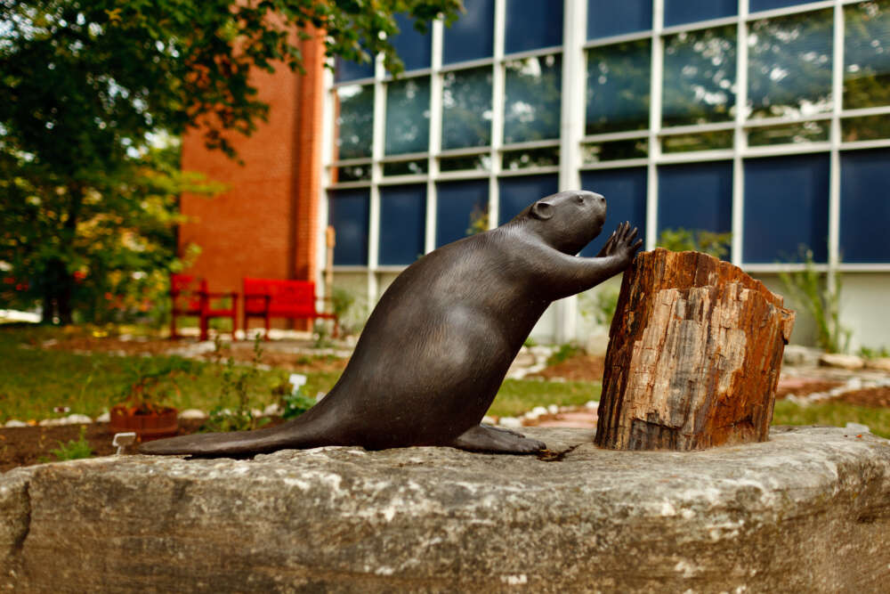 Celebrating the 20-Year Anniversary of U of G’s Indigenous Student ...