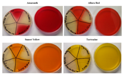 Gut Reactions: U of G Study Finds Food Dyes Can Harm Gut Microbes - U ...