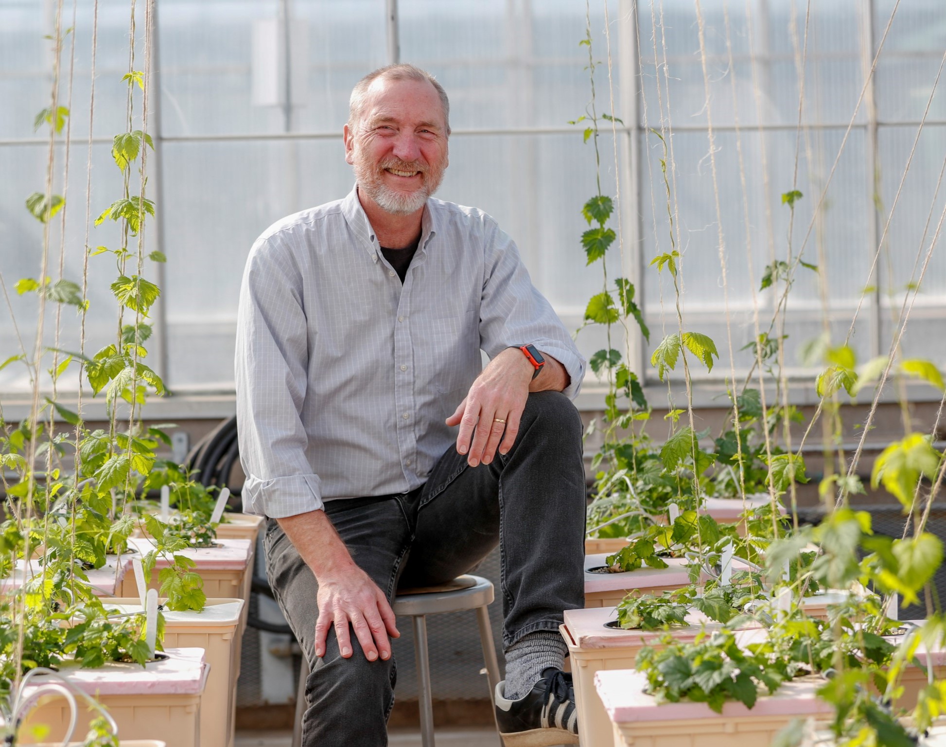 Dynasty Kidney Bean Named U of G’s Innovation of the Year - U of G News