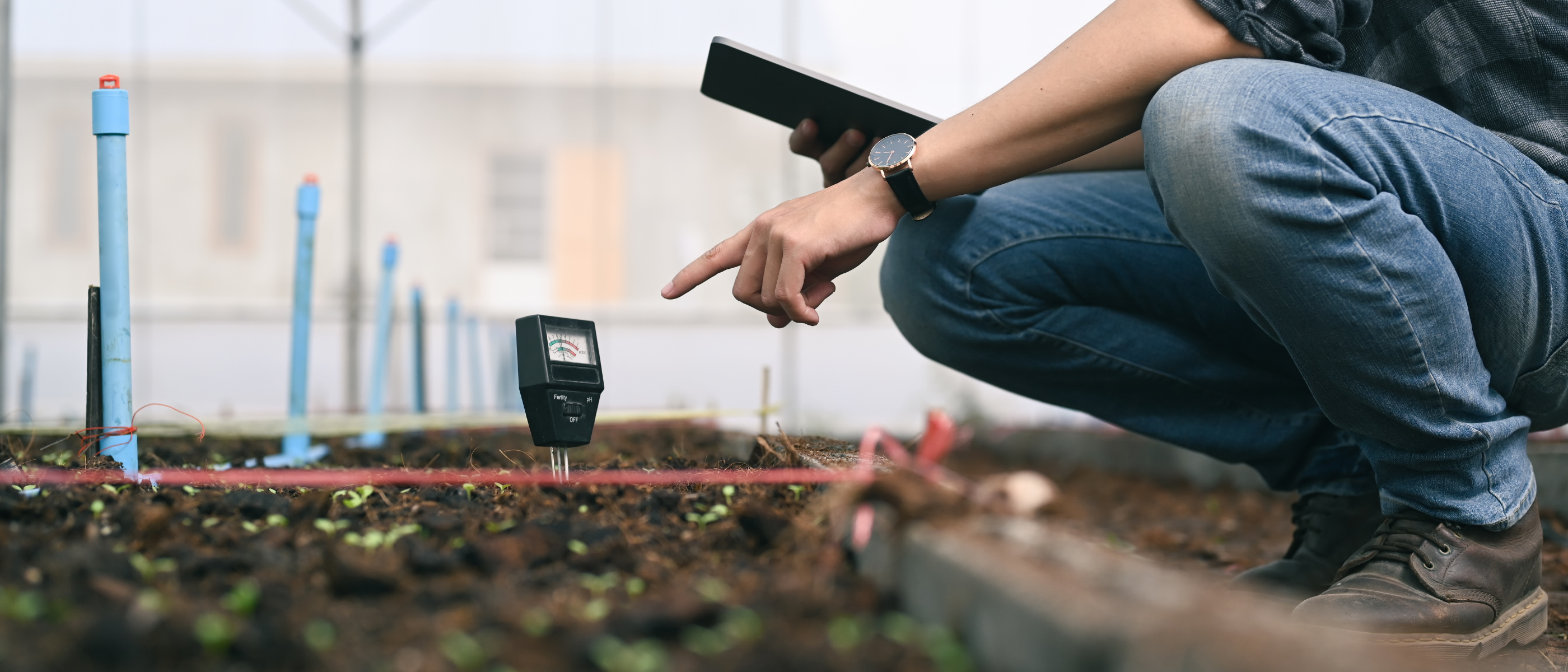 How Better Soil Data Can Build Resilient Food Systems - U of G News