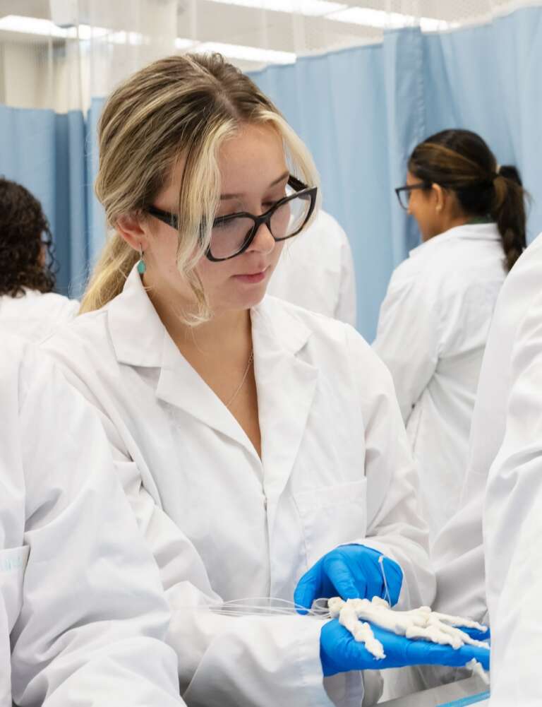 In the Human Anatomy Lab, Experiential Learning Prepares Future Health ...