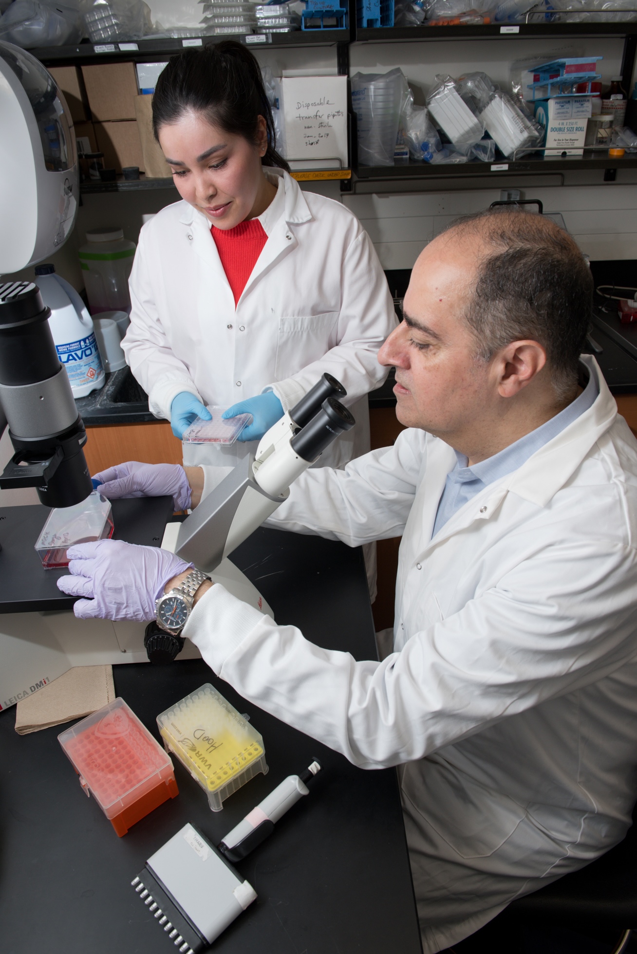 Inside U of G’s Fight Against Avian Flu - U of G News