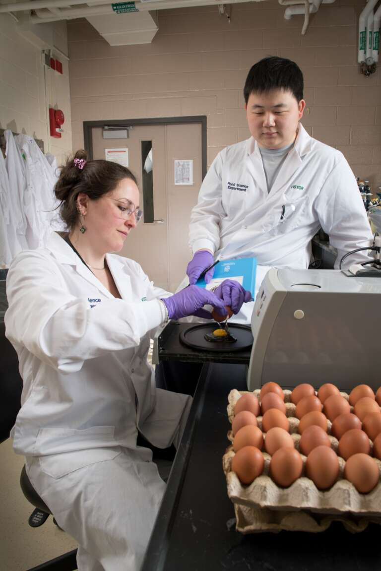 U of G Invention Kills Food Pathogens in Seconds – Without Water or ...