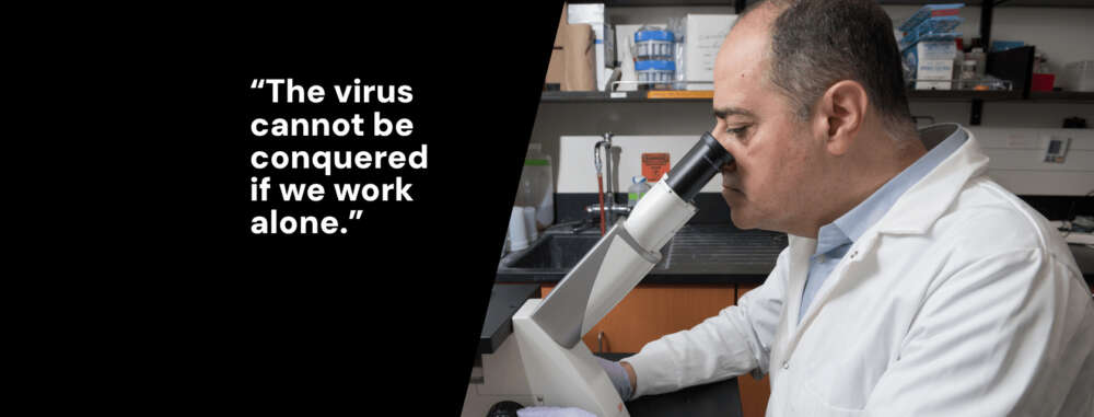 Avian Flu - University of Guelph - U of G News