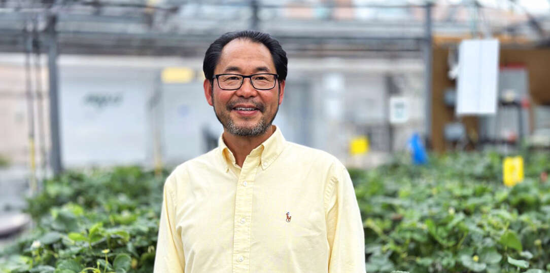 Greenhouse Farming Emerging as Urban Food Solution - U of G News