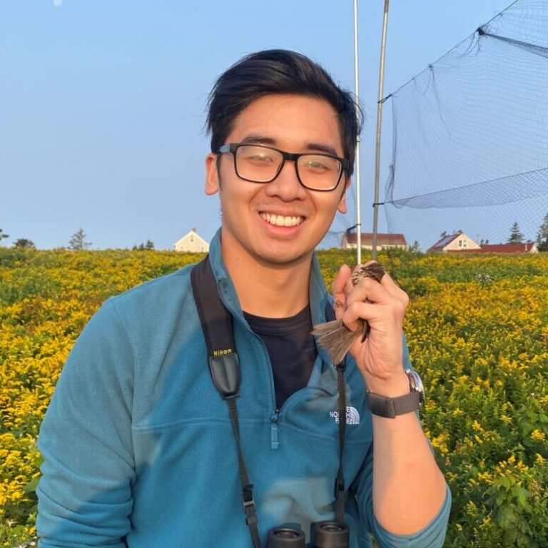 New Study Pinpoints Number of Birds Killed by Cats Each Year - U of G News