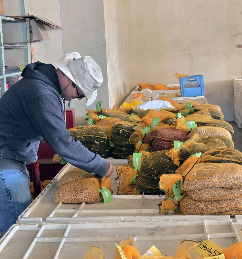 U of G Bean Breeders Make Food Bank Donation - U of G News