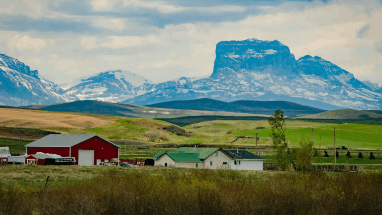 Build Canada’s Future in Master of Rural Planning - U of G News
