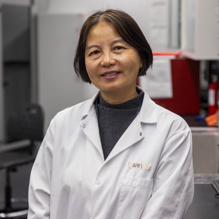 Can Cold Plasma Solve Our Hottest Problems? - U of G News