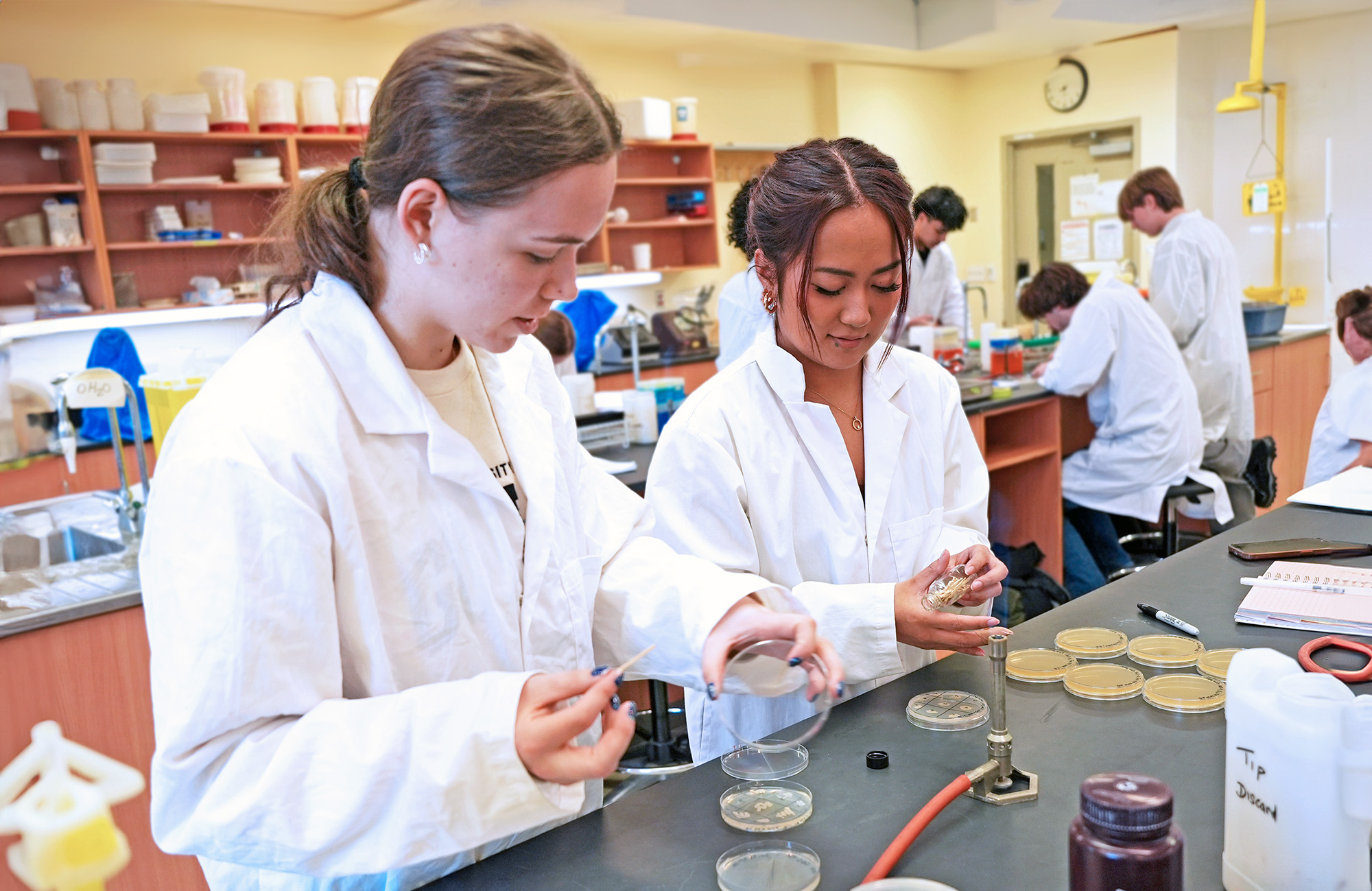 Undergrads Helping to Find New Antibiotics - U of G News